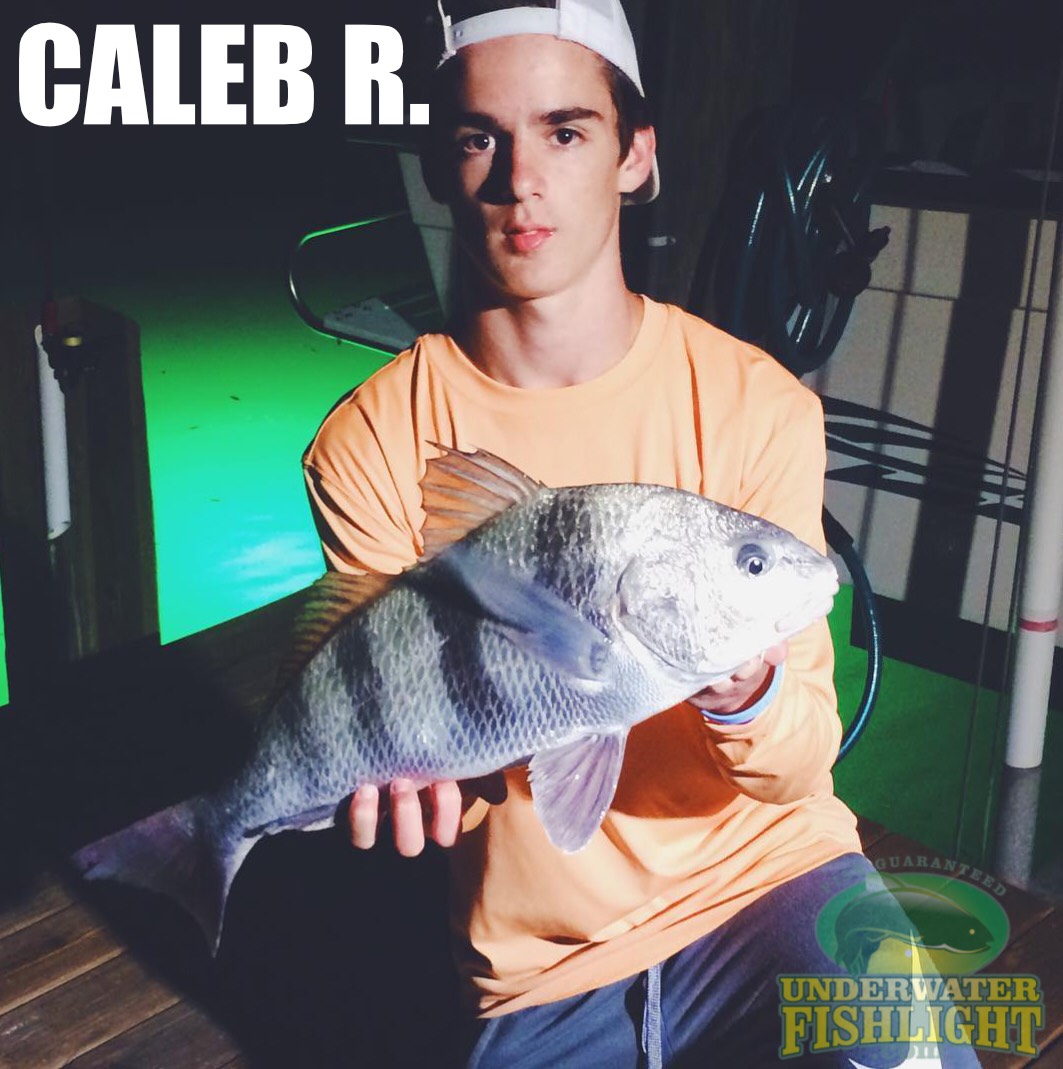 Caleb-R. – Underwater Fish Light