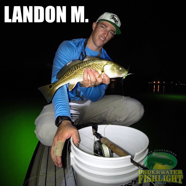 Landon-M. – Underwater Fish Light