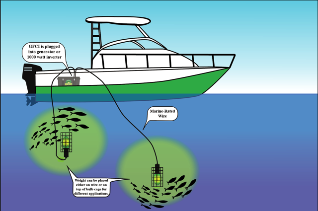 Portable-diagram – Underwater Fish Light